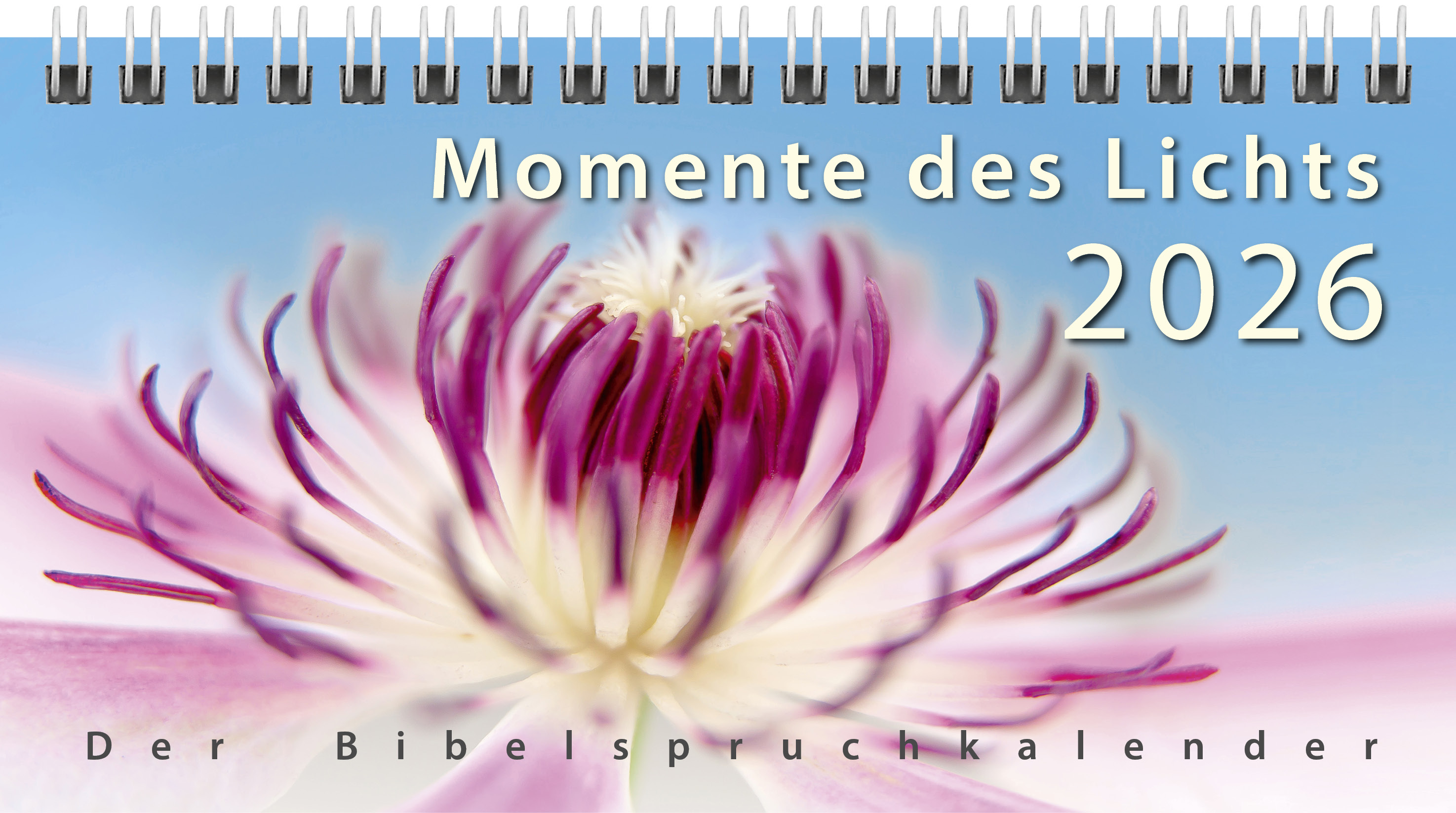 Neuheiten und Bestseller im Verlag am Birnbach